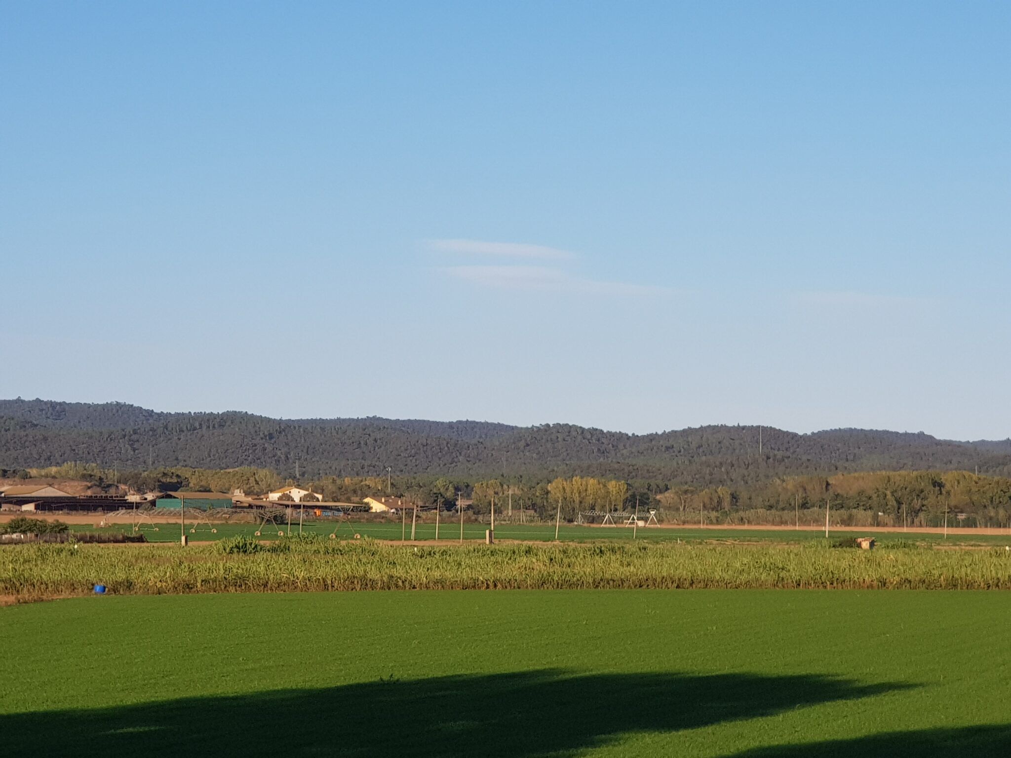 Área Rural Consolidada - Entenda do que se trata